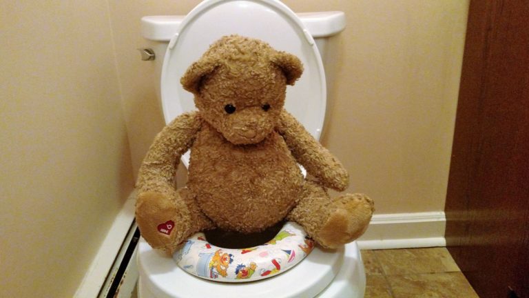 Potty training 101: the nuts and bolts - Two Peds in a Pod®